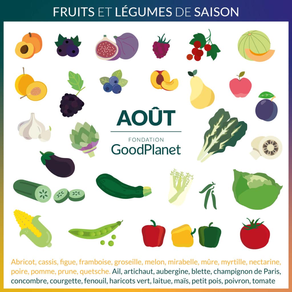 Fruits et légumes de saison : Le mois d'Août - GoodPlanet mag'