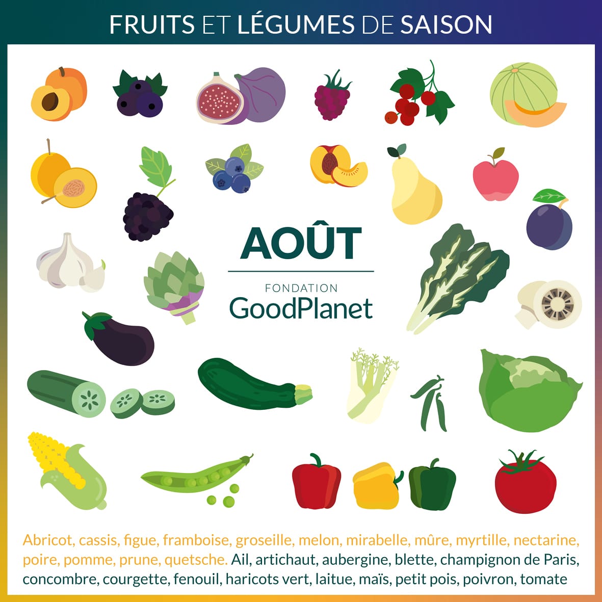 Fruits et légumes de saison : Le mois d'Août - GoodPlanet mag'