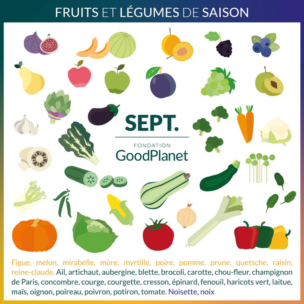 Fruits et légumes de saison : le mois de Septembre - Magazine ...