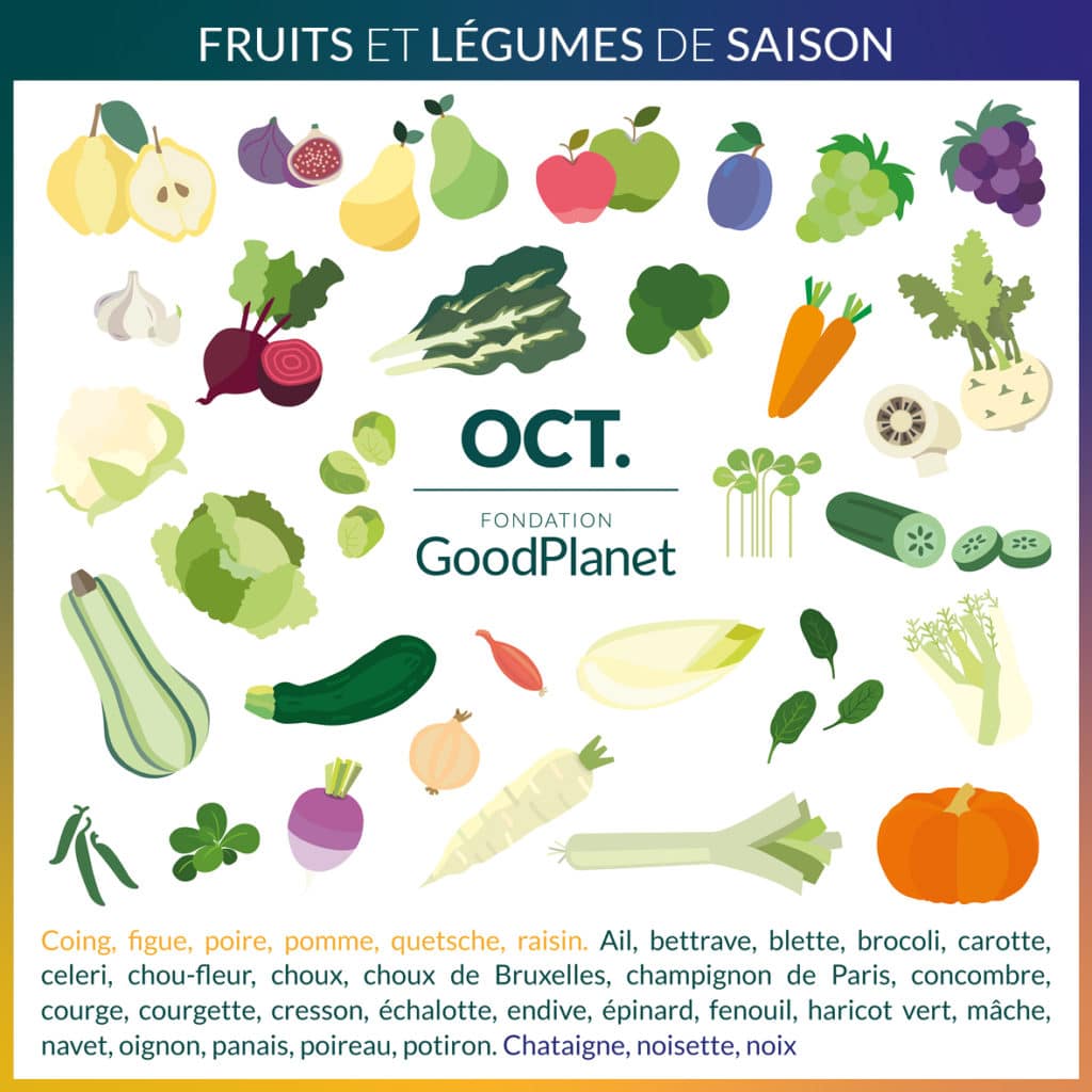 Calendrier fruits et légumes de saison - GoodPlanet mag'