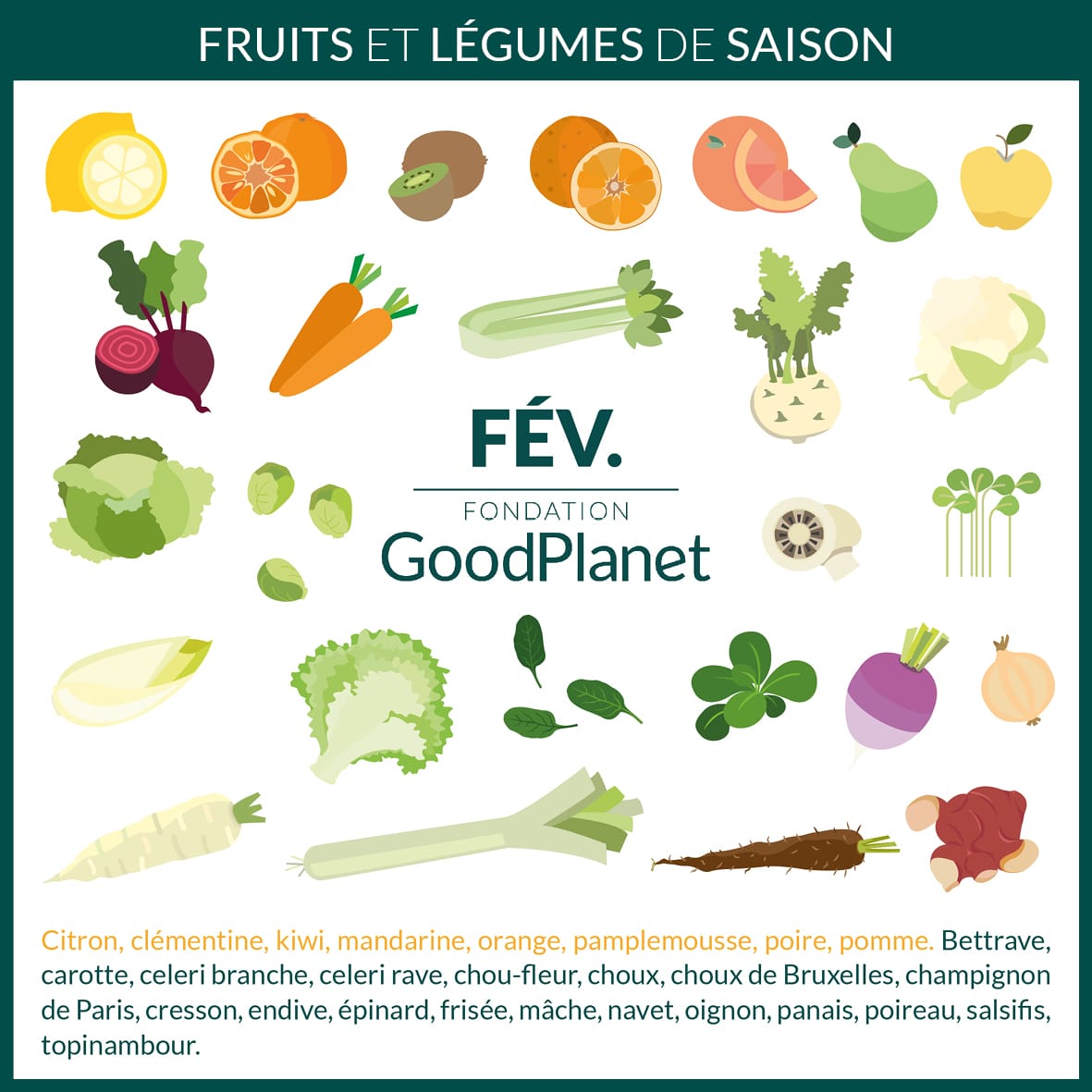 Lés légumes de Février sont arrivés ! - GoodPlanet mag'