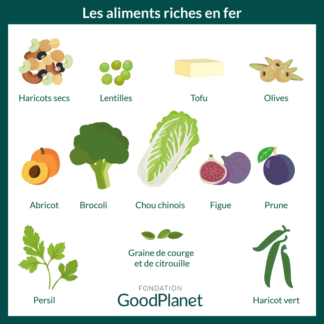 Les aliments riches en fer - GoodPlanet mag'