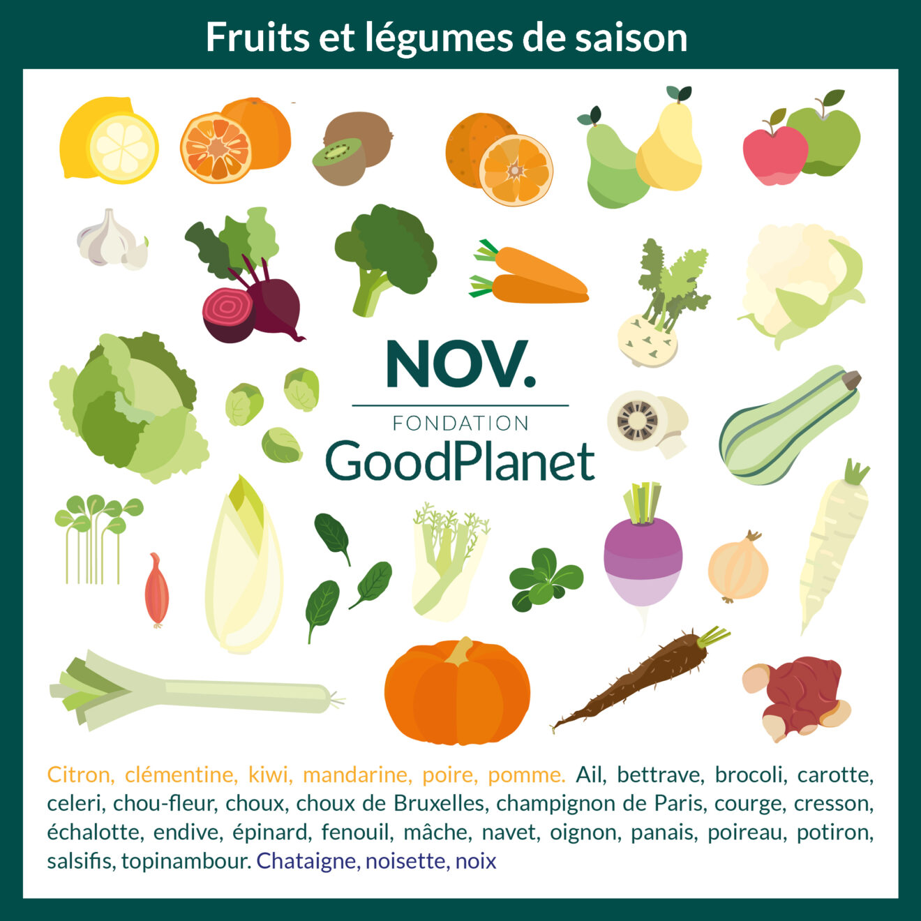 Connaissez-vous vos fruits et légumes de novembre ? - GoodPlanet mag'