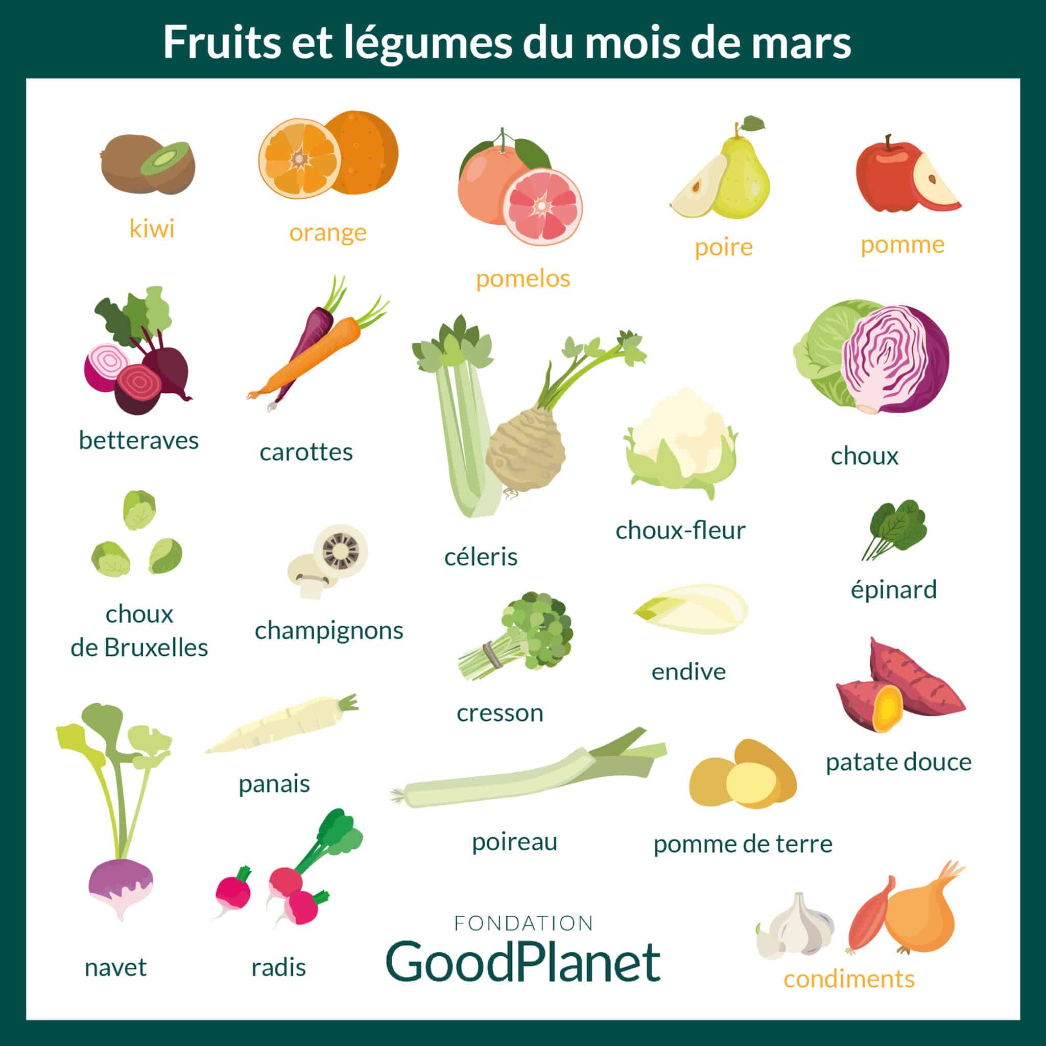 Fruits & légumes du mois de mars - GoodPlanet mag'