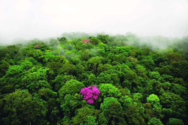 S'engager concrètement face à l'urgence climatique - GoodPlanet mag'