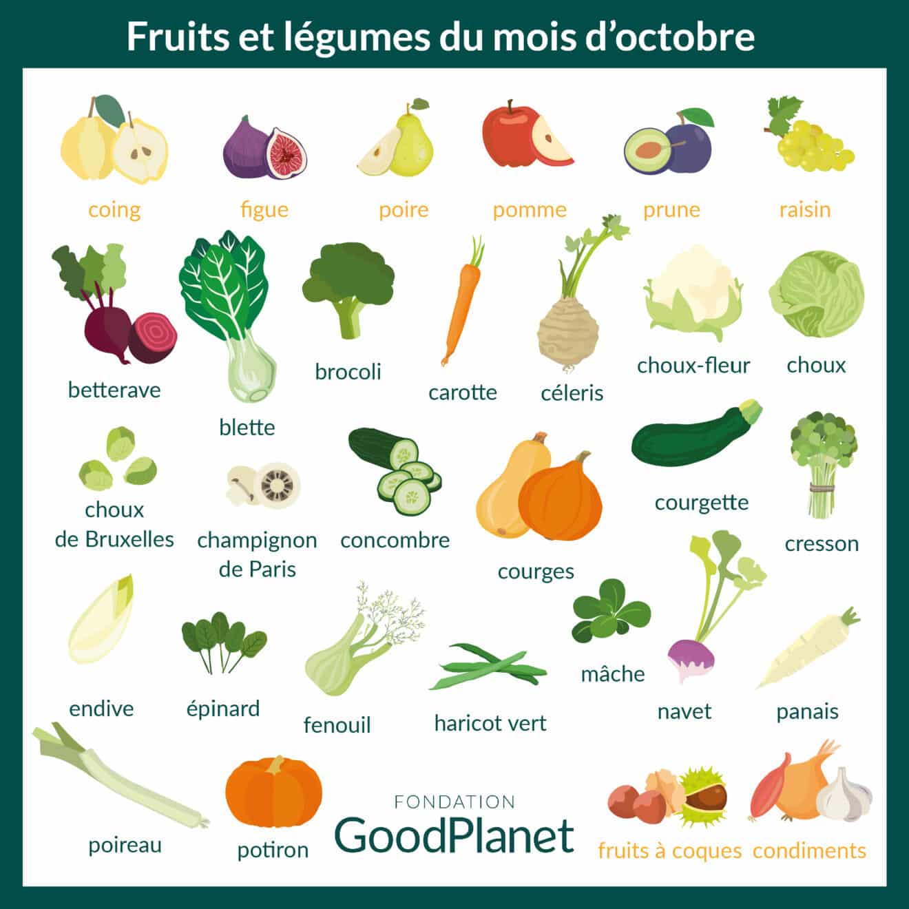 C'est l'automne : découvrez les fruits et légumes du mois d'octobre ...