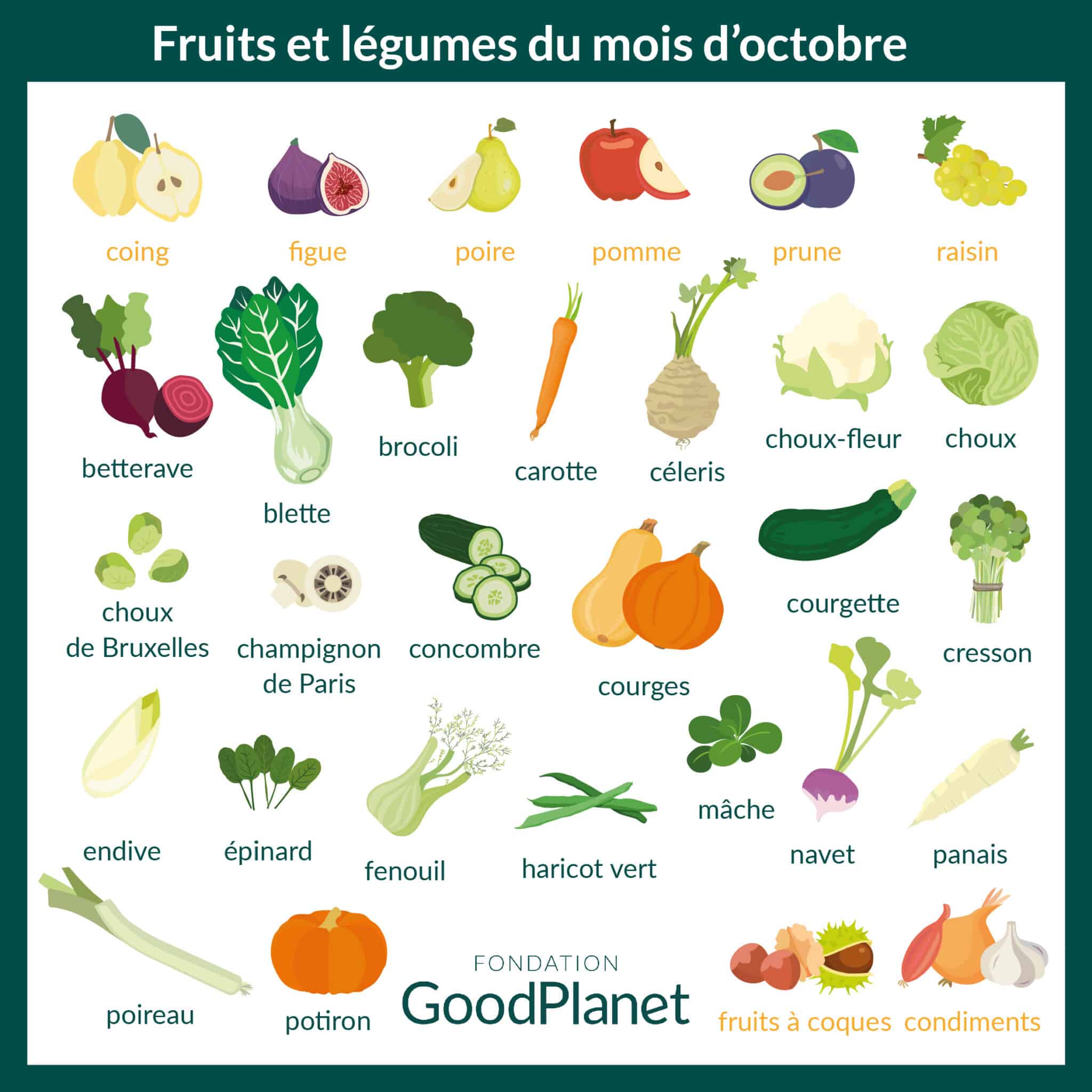 C'est l'automne : découvrez les fruits et légumes du mois d'octobre ...
