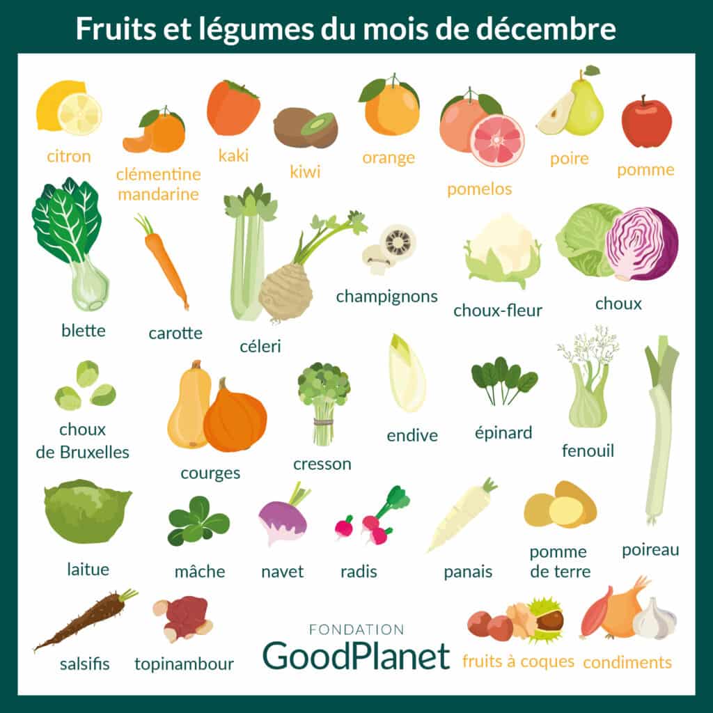 Les fruits et légumes de décembre ! - GoodPlanet mag'