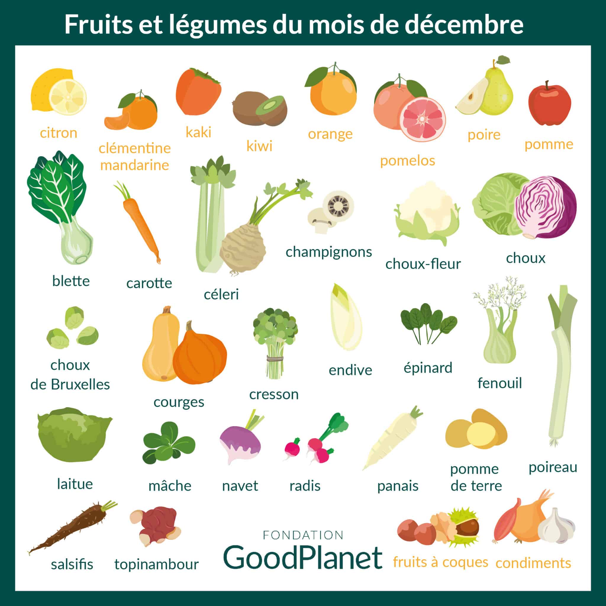 Les fruits et légumes de décembre ! - GoodPlanet mag'