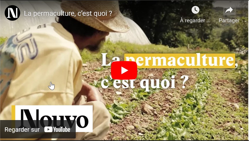 Pascal Poot, le surprenant maraicher en permaculture - GoodPlanet mag'