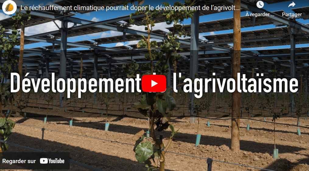 L’agrivoltaïsme pour concilier agriculture et énergies renouvelables ...