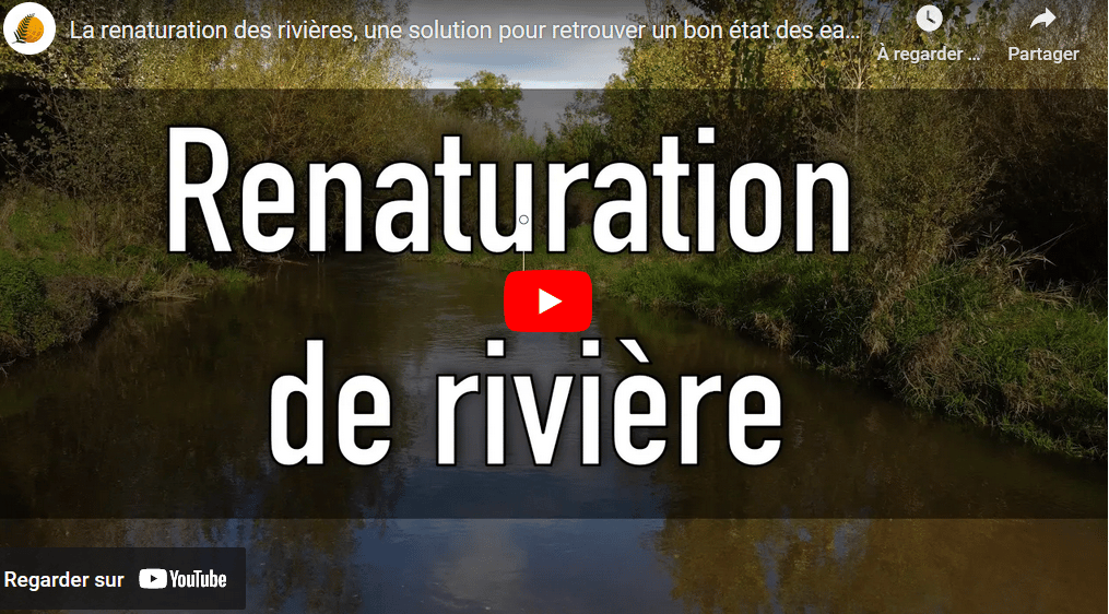 Redonner aux rivières leurs cours naturels - GoodPlanet mag'