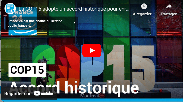 Comprendre L Accord De La Cop15 Sur La Biodiversité En 2 Minutes