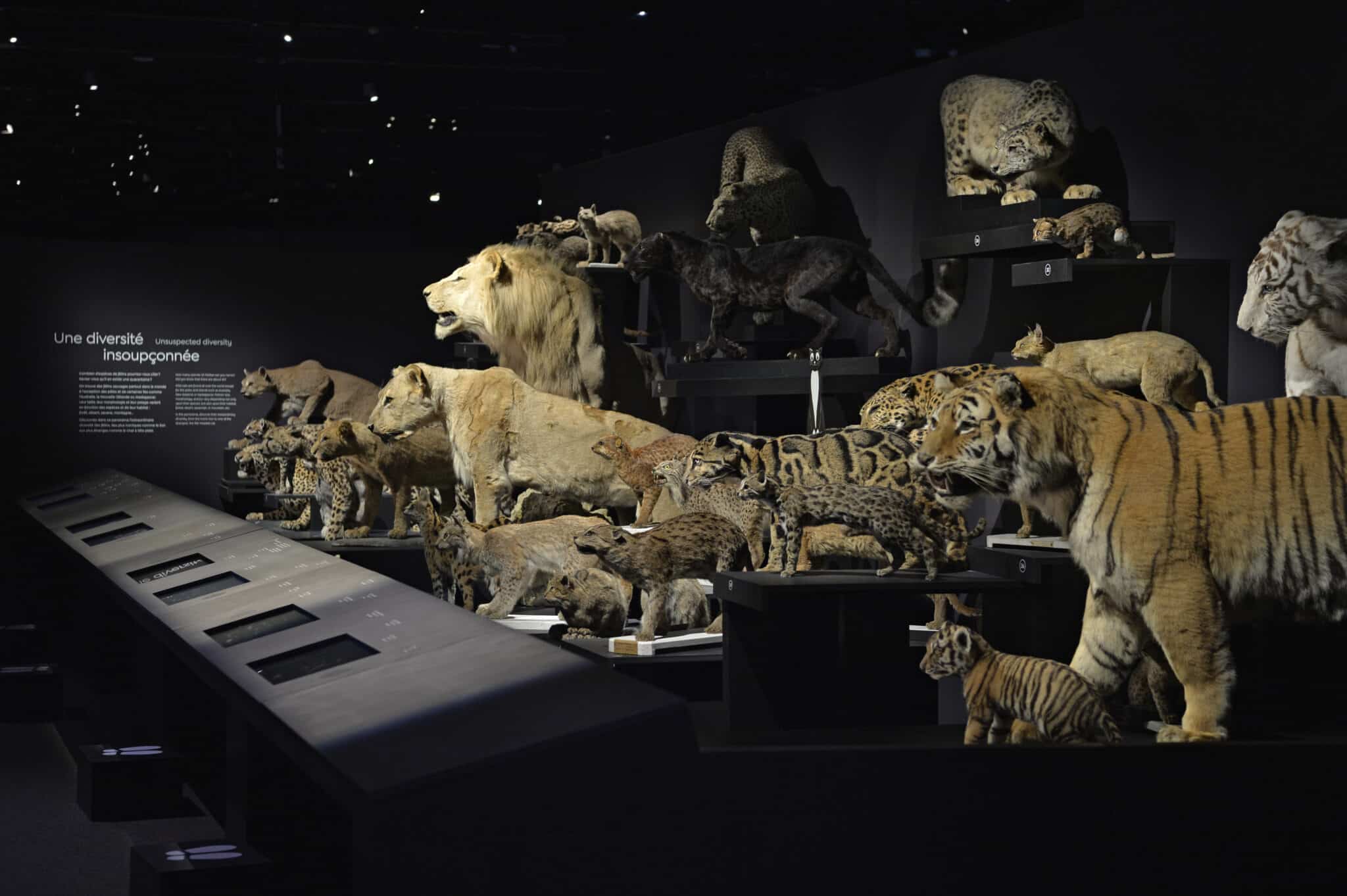 La nouvelle exposition du Muséum National d’Histoire Naturelle nous ...