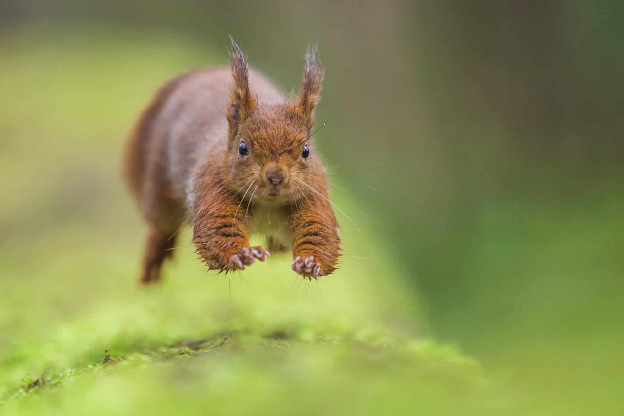 À la rencontre du vivant, la nouvelle exposition ouverte à tous, à ...
