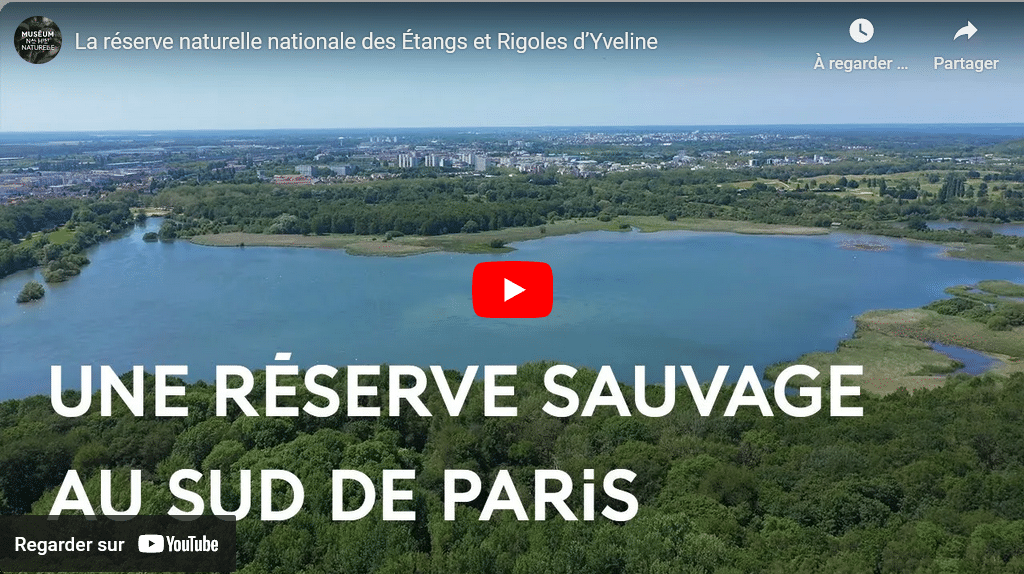 Une étonnante réserve naturelle à quelques dizaines de kilomètres de ...