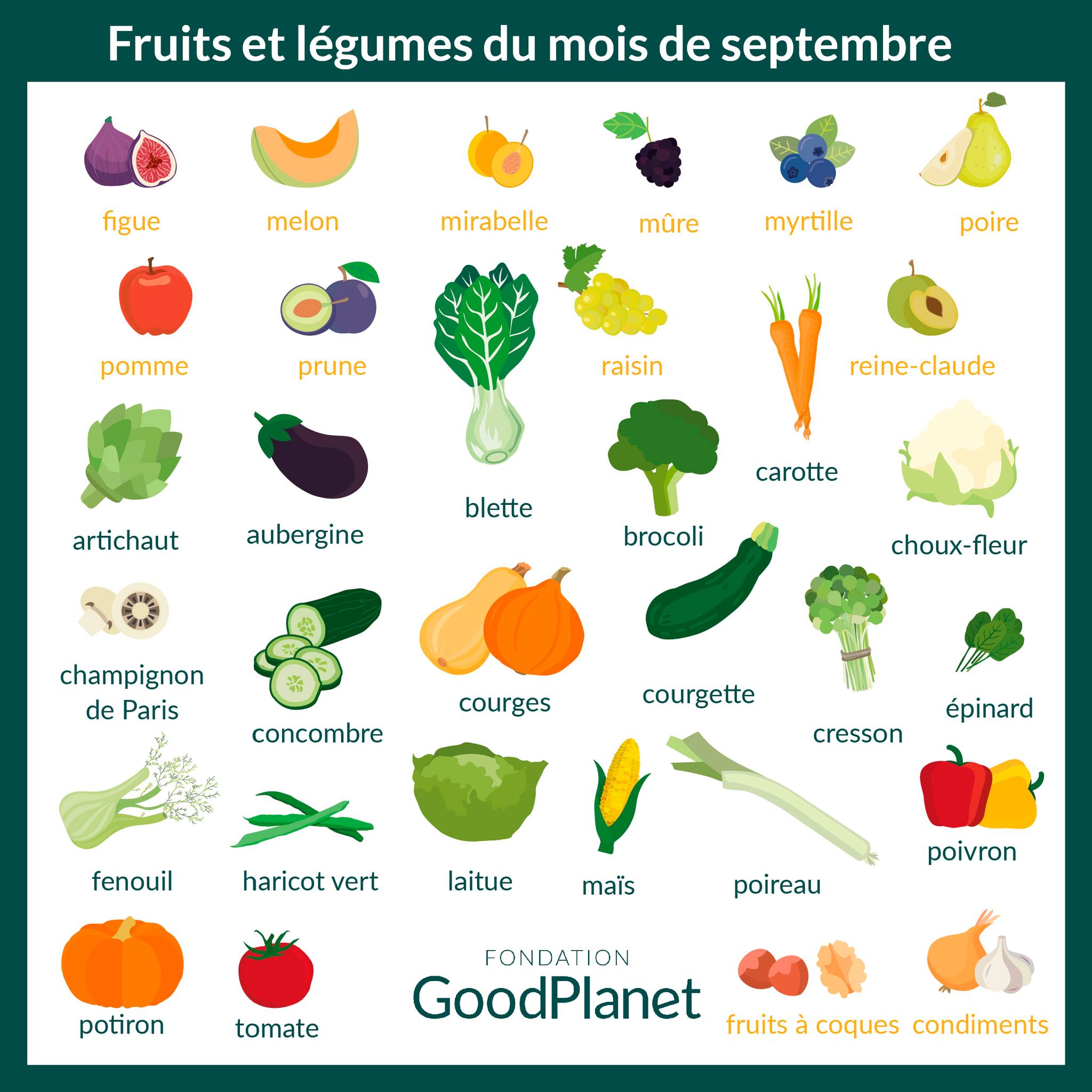 Le calendrier des fruits et légumes à savourer en septembre ...