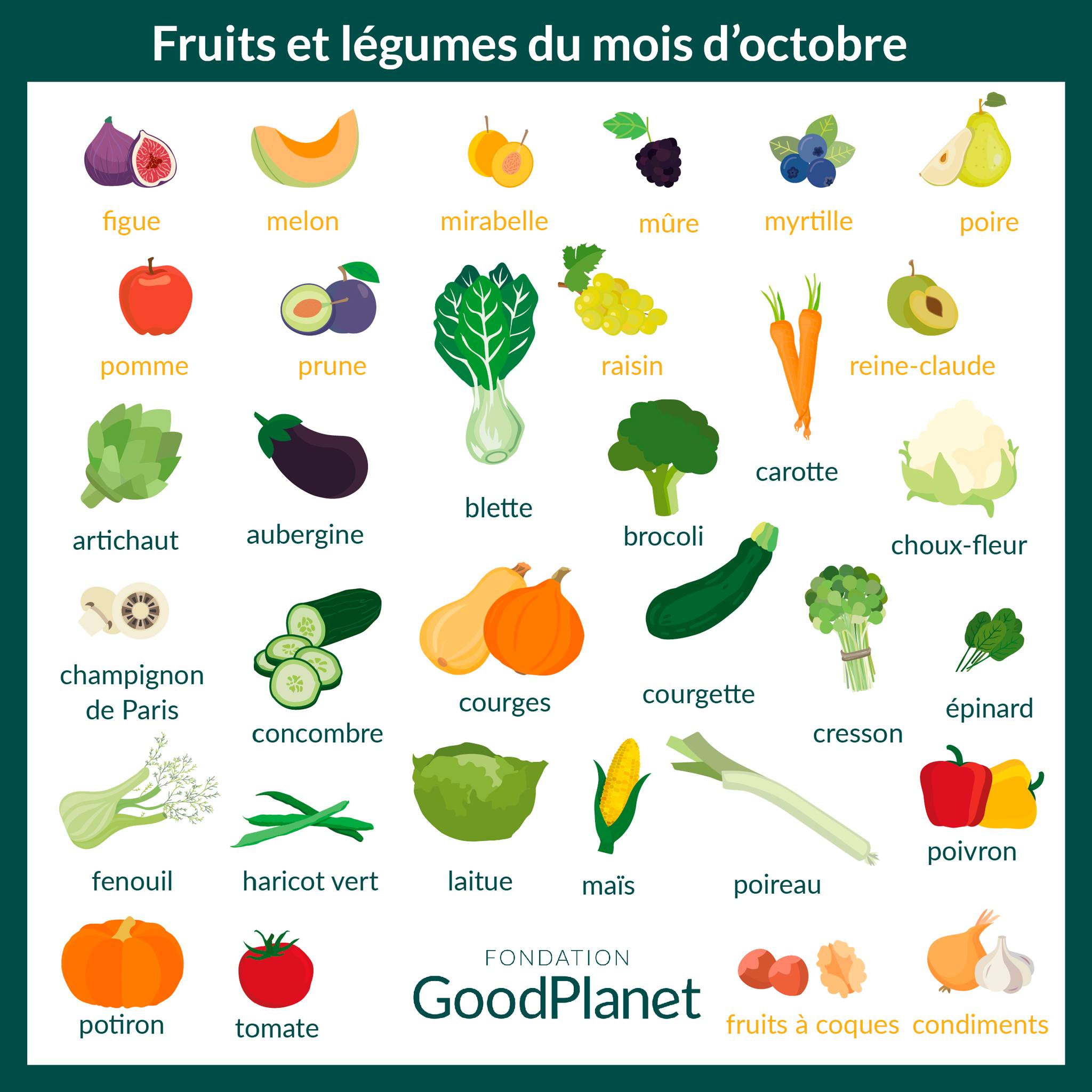 Le calendrier des fruits et légumes d'octobre - GoodPlanet mag'