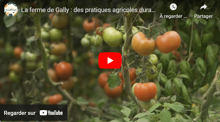 La ferme de Gally : des pratiques agricoles durables - GoodPlanet mag'