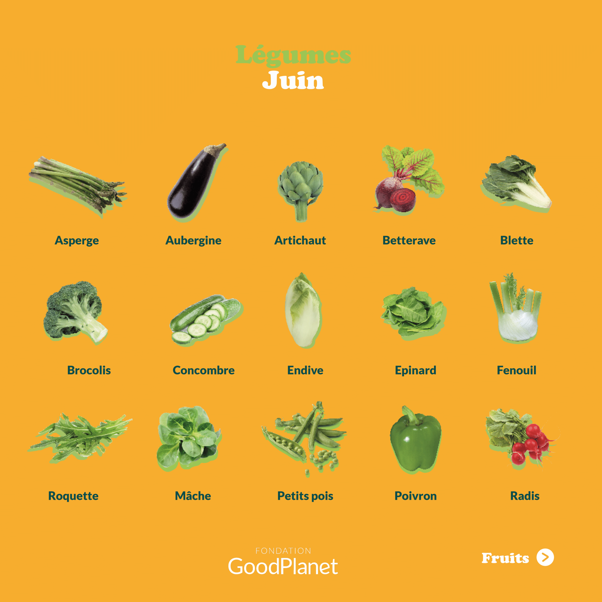 Les fruits et légumes du mois de juin - GoodPlanet mag'