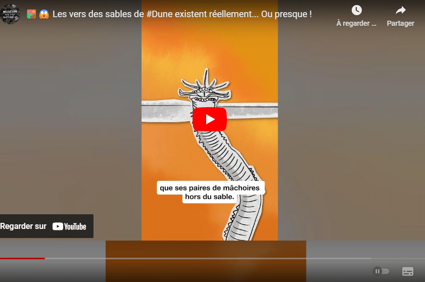 Etonnante biodiversité : le ver sous-marin qui ressemble au ver des ...