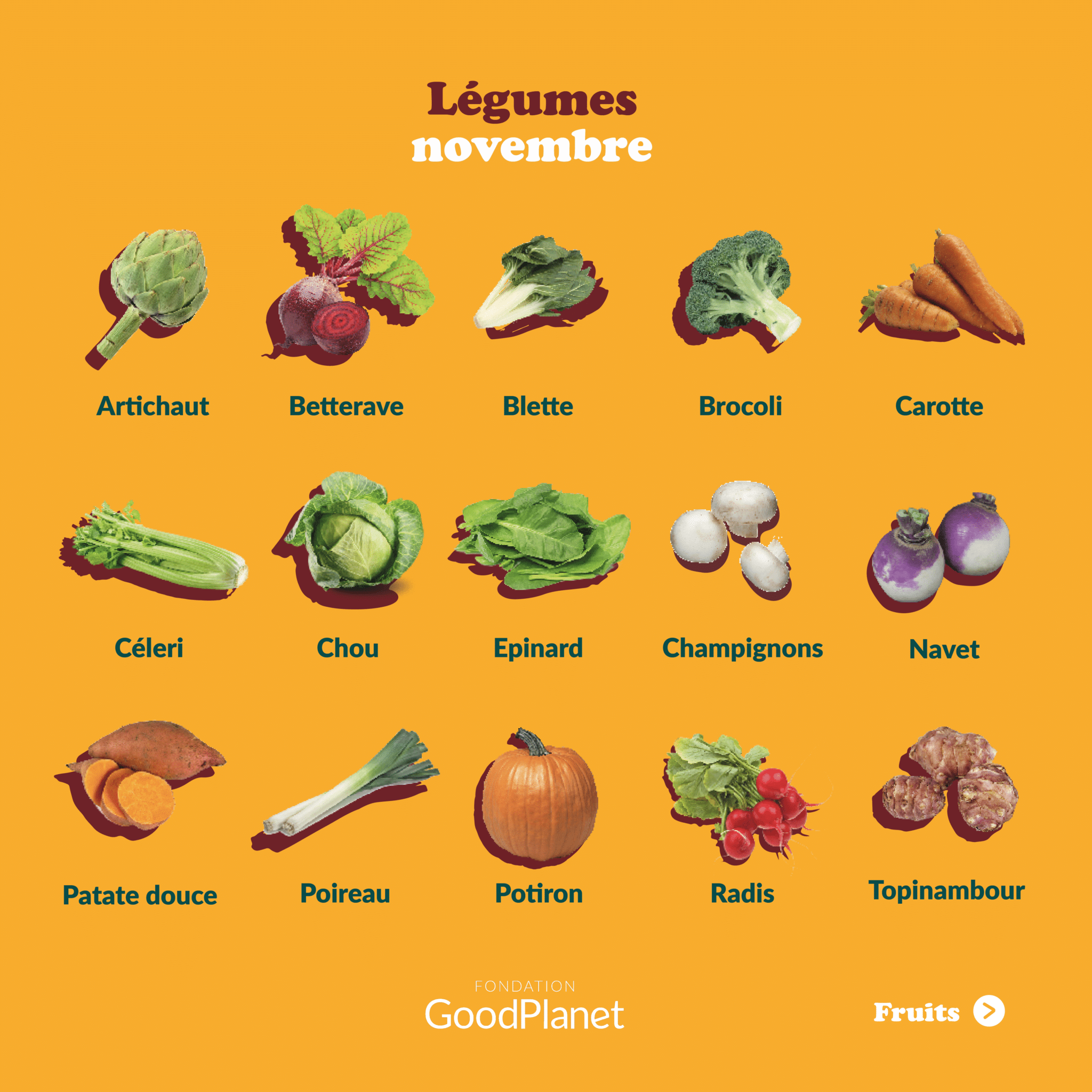 Les fruits et légumes de novembre - GoodPlanet mag'