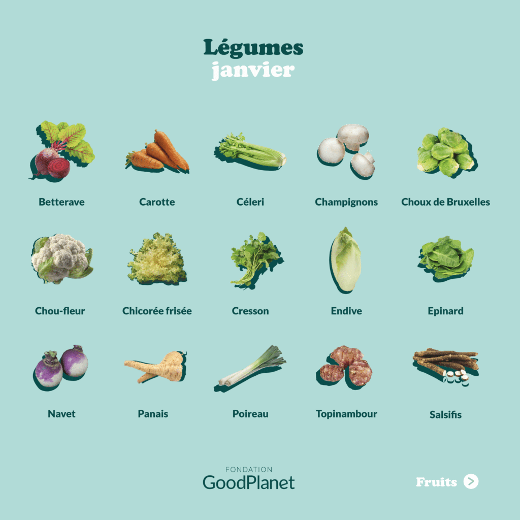 Le calendrier des fruits et légumes de janvier - GoodPlanet mag'