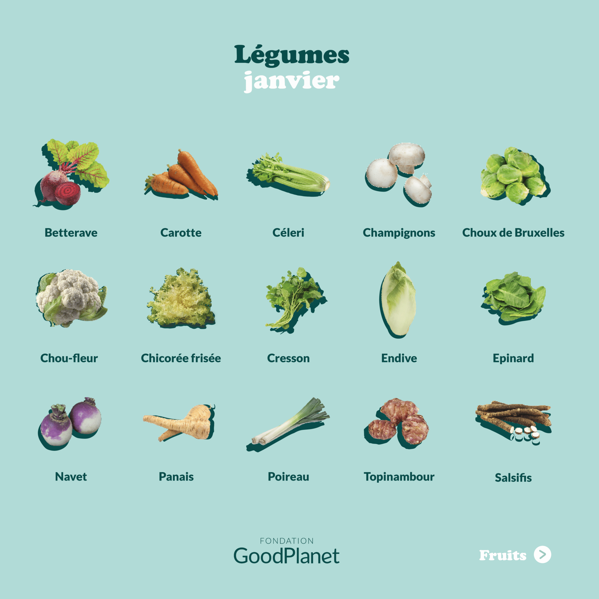 Le calendrier des fruits et légumes de janvier - GoodPlanet mag'
